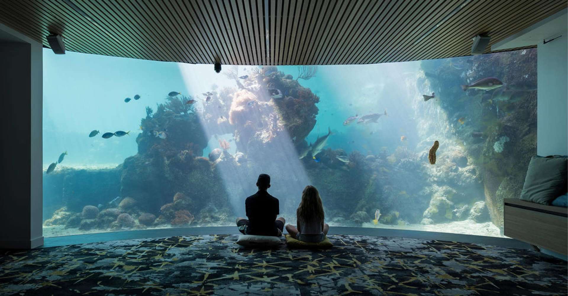 Workplace Strategy, Design & Fitout | Amicus